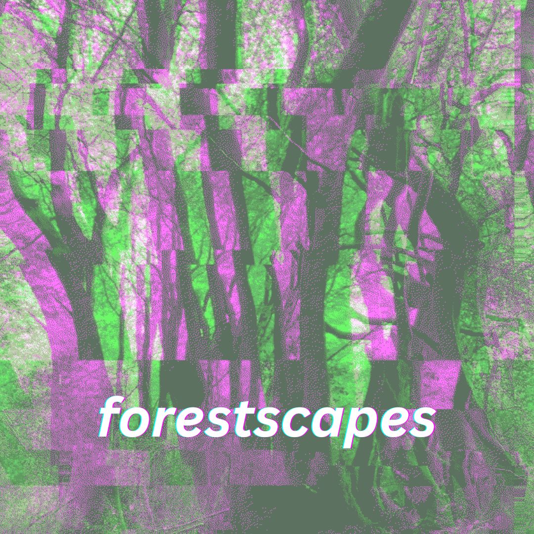 Introducing forestscapes and open call for forest sounds – Public Data Lab